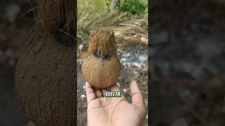 Descubre el Agua de Beteta: Manantial y Fuente del Arca que Revitaliza ...