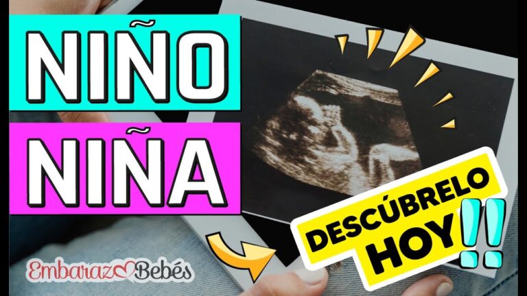 Cómo Saber en una Eco si es Niño o Niña: Guía Completa para Padres ...